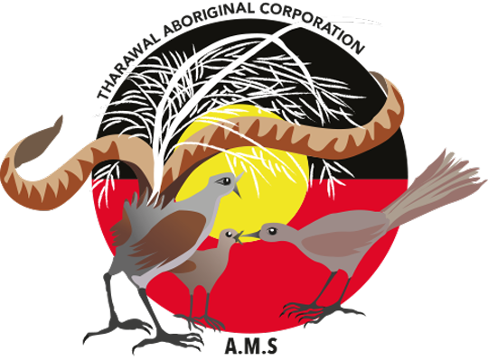 Tharawal Aboriginal Corporation – Headstart – Find mental health ...